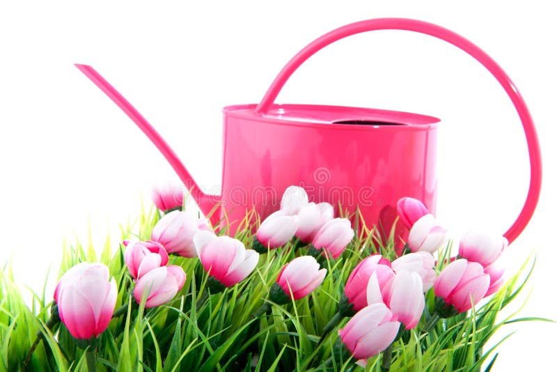 Resorte foto de archivo. Imagen de resorte, alegre, aislado - 12968646