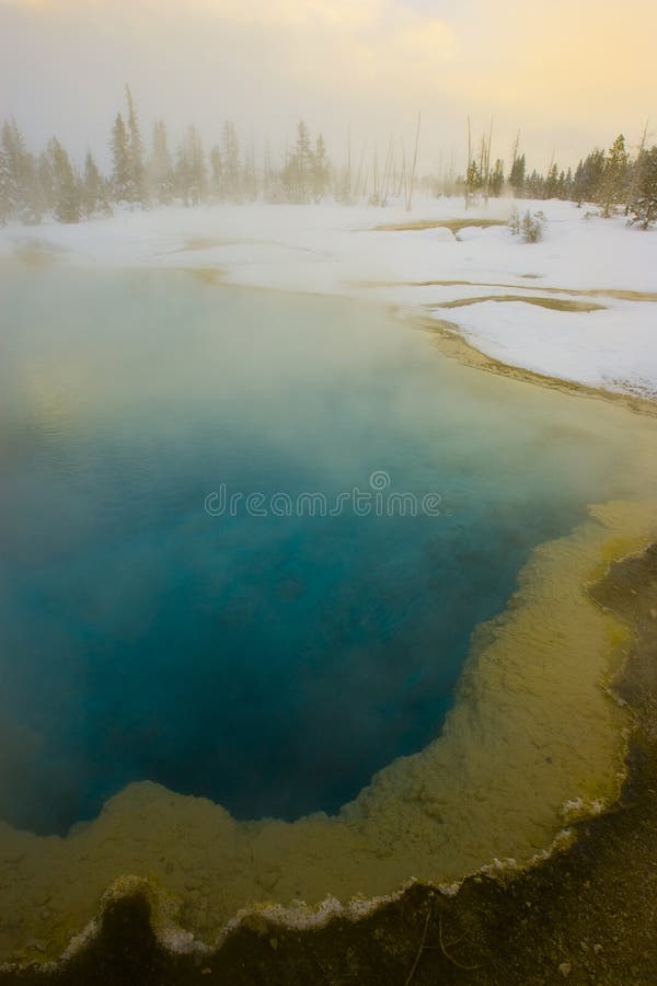 6,648 Yellowstone Winter Snow Fotos de stock - Fotos libres de regalías ...