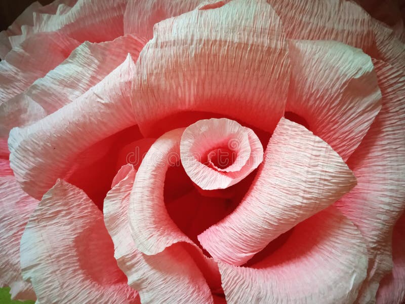 Resorte rosa imagen de archivo. Imagen de labio, boca - 208480991