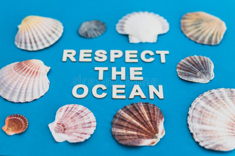 Respect the Ocean Text Surrounded by Colorful Shells on Blue Background ...