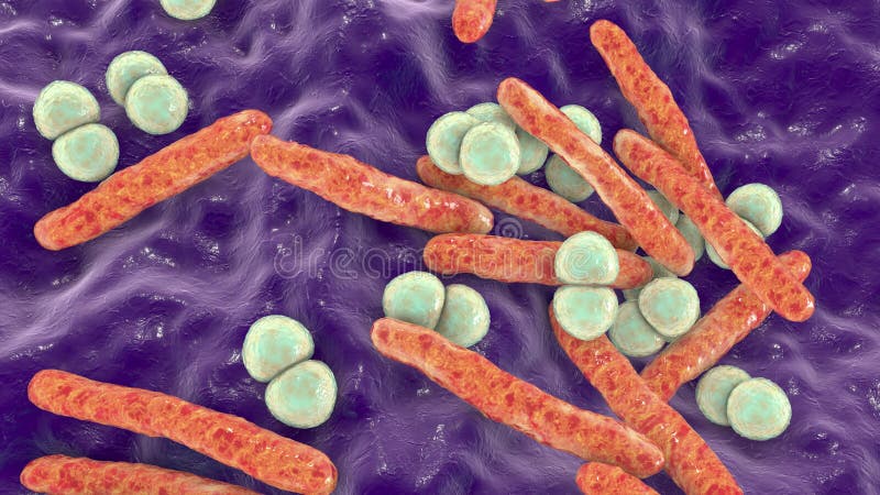 Respiratory Pathogens, Bacteria Mycobacterium Tuberculosis and ...