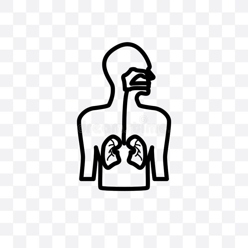 Linear Respiratory System Icon From Human Body Parts Outline Collection ...