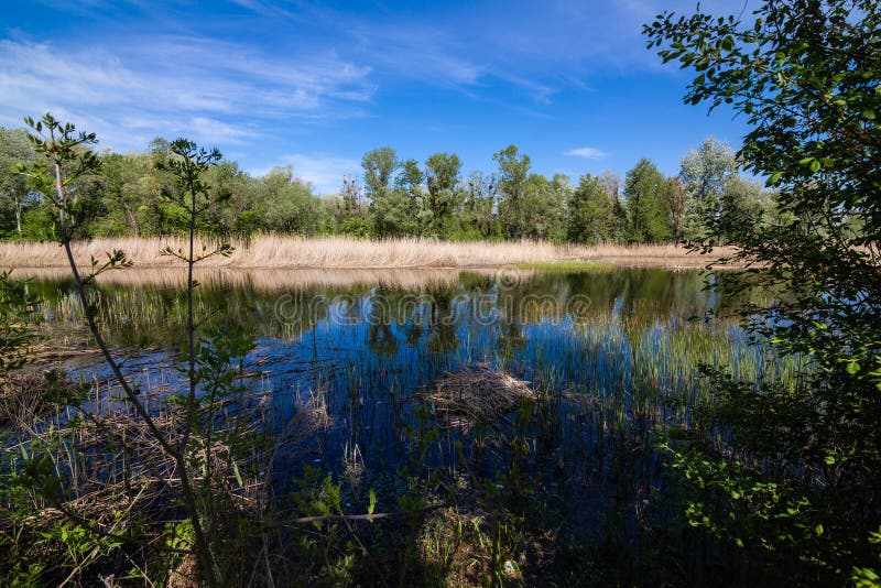 Respire la naturaleza imagen de archivo. Imagen de espejo - 117720935