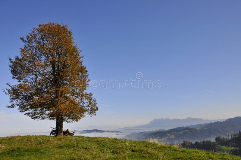 Emmental Napf Stock Photos - Free & Royalty-Free Stock Photos from ...