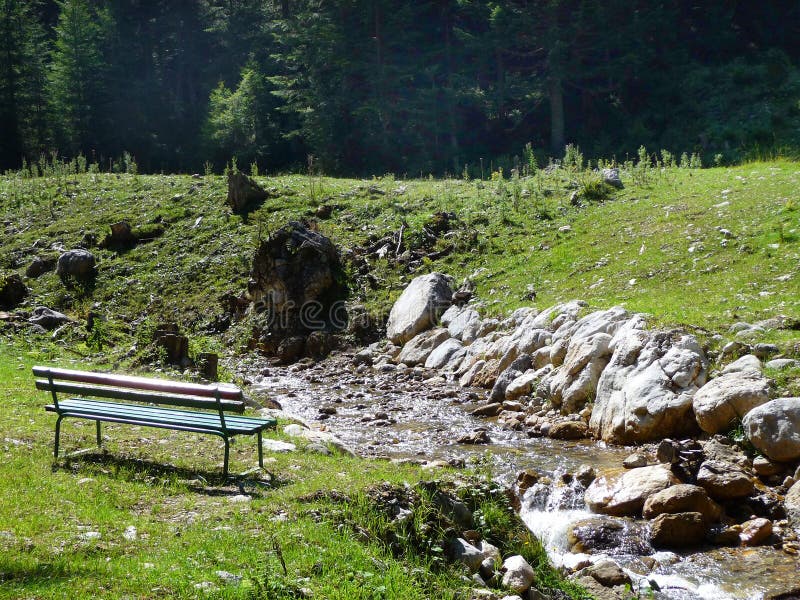 Rest aerea at a stream stock image. Image of green, flora - 304934529