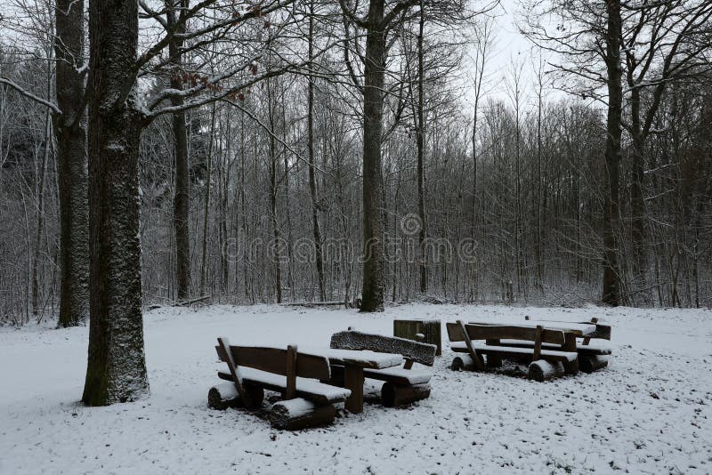 A Rest Area in the Forest in Winter Stock Photo - Image of activity ...