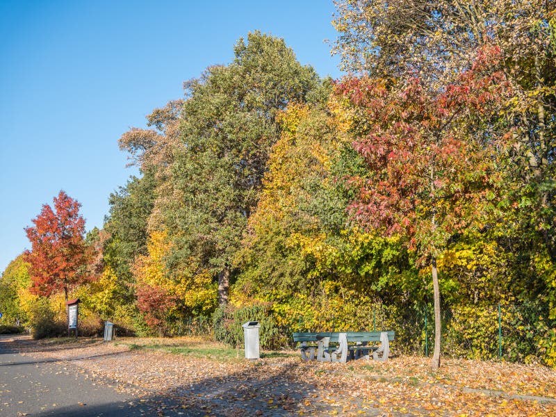 Rest Area on the Highway in Autumn Stock Image - Image of autumn, rest ...