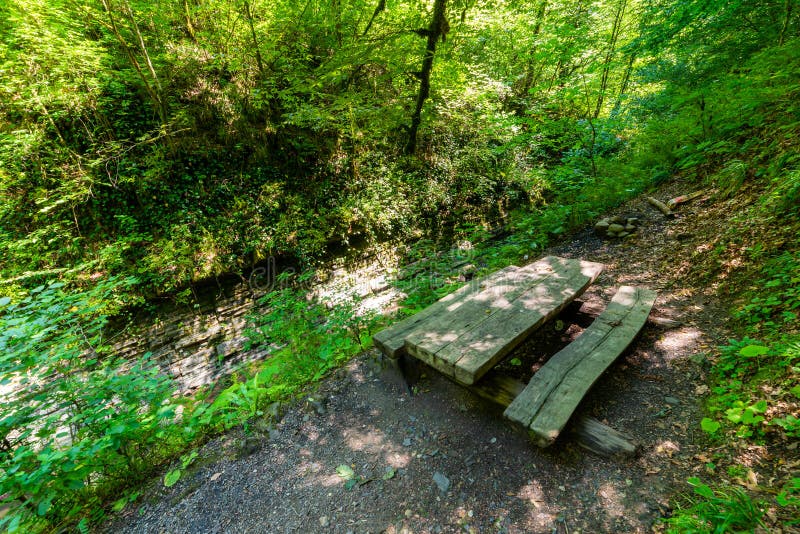 Rest Area at the Hiking Trail in National Park Stock Image - Image of ...