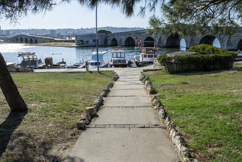 Rest area in the park stock photo. Image of color, birds - 203802832