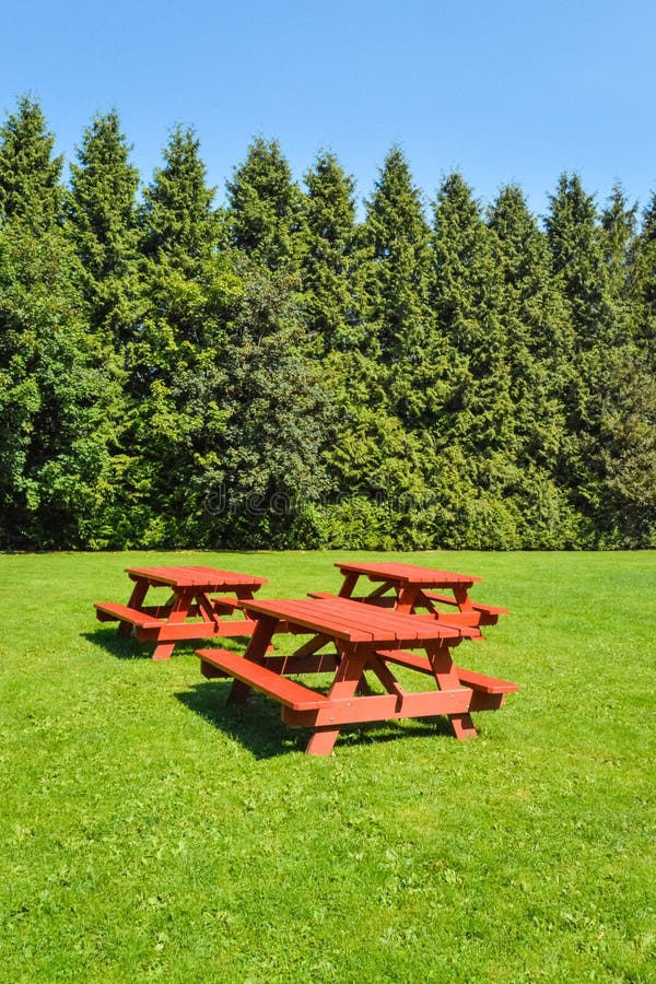 Rest Area with Red Picnic Table on Green Lawn in a Park. Stock Image ...
