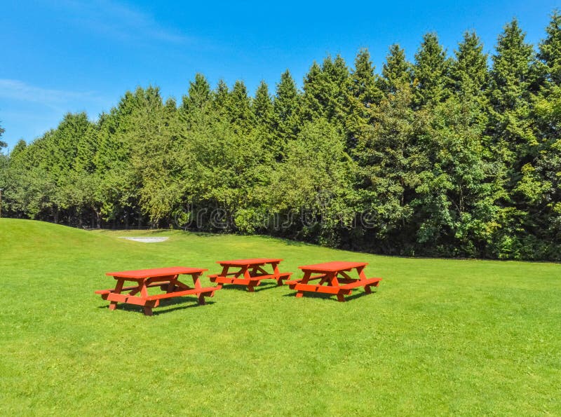 Rest Area with Red Picnic Table on Green Lawn in a Park. Stock Image ...