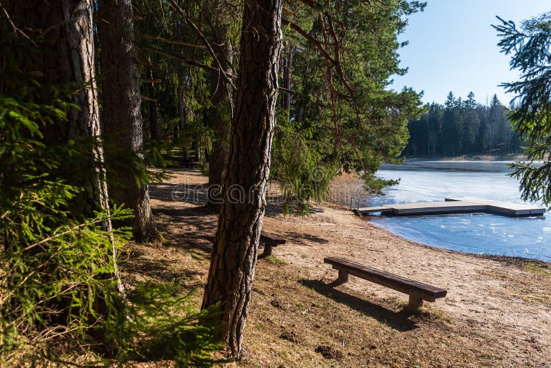 Rest Area in the Woods by the Lake on a Sunny Spring Day, Ivande ...