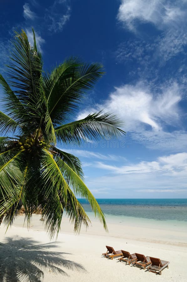 Rest on the beach stock image. Image of coast, holiday - 15858913