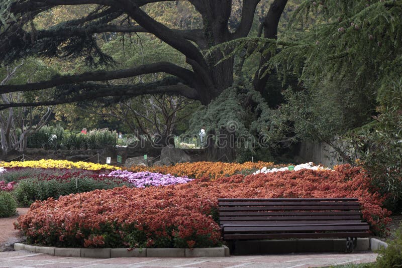 Rest of Botanical Garden stock image. Image of peace - 38845209