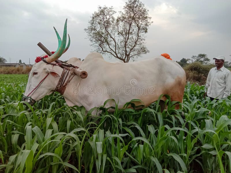 Some work some sleep editorial stock image. Image of work - 62873169