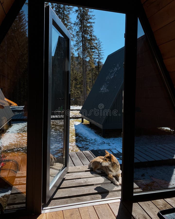 Rest Cabin in the Mountains Stock Photo - Image of forest, hill: 345318416