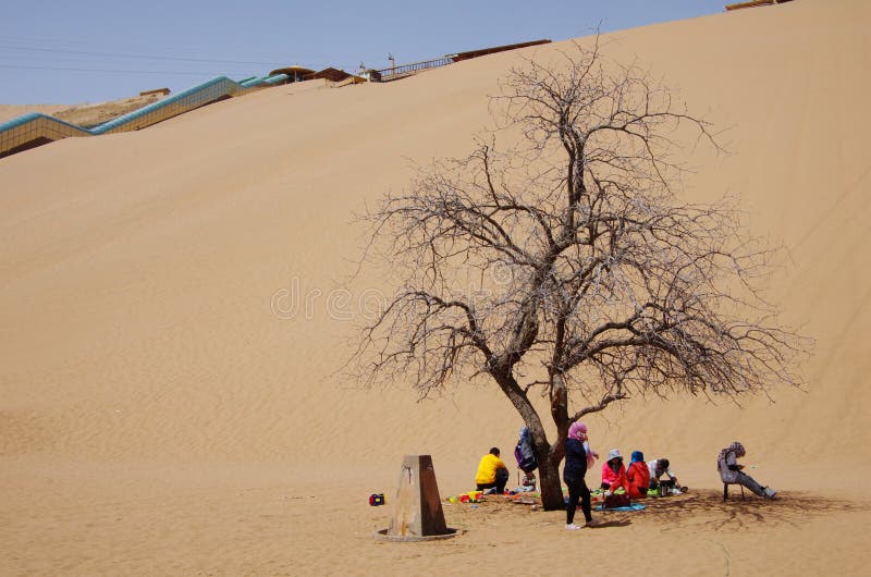 Rest in desert editorial stock image. Image of sand, sahara - 43427984