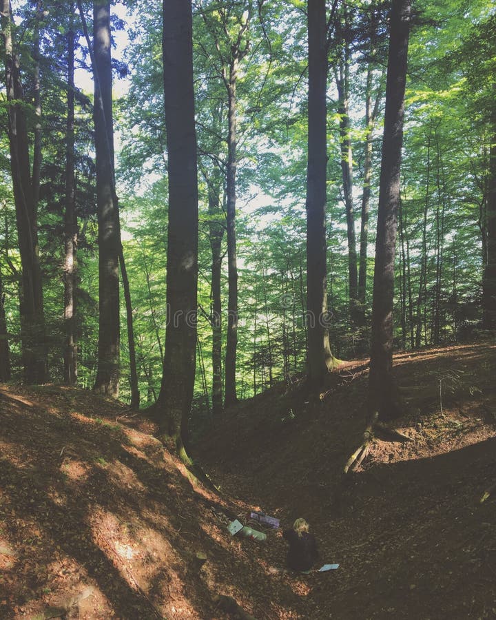 Rest in the forest stock photo. Image of mountain, rest - 96929292