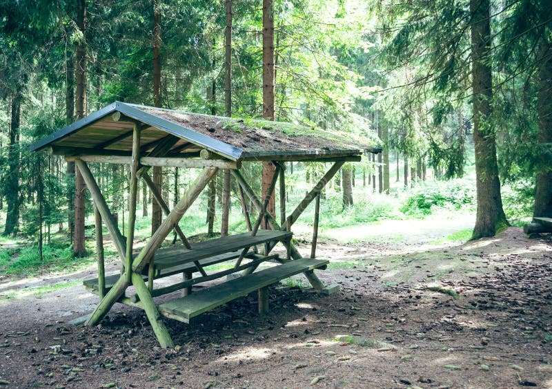 Rest in the forest stock photo. Image of nature, outdoors - 49067838