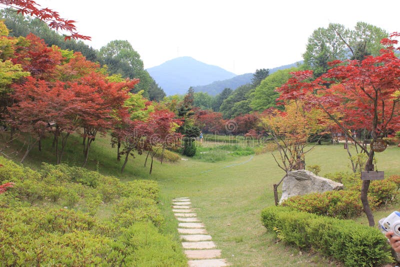 Rest in the garden stock photo. Image of holiday, garden - 55323328