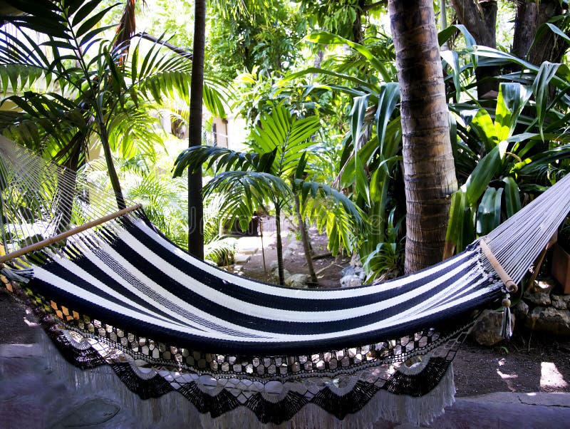 Rest in a Hammock in Costa Ricas Tropical Jungles Stock Image - Image ...