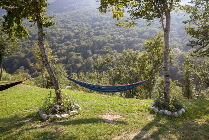 Rest in a hammock stock photo. Image of summer, relaxation - 195005210