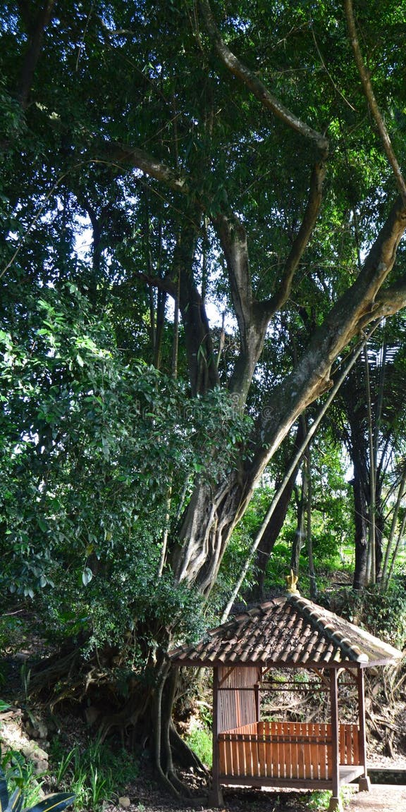 Rest Hut in Public Cemetery Stock Photo - Image of rest, public: 377090296