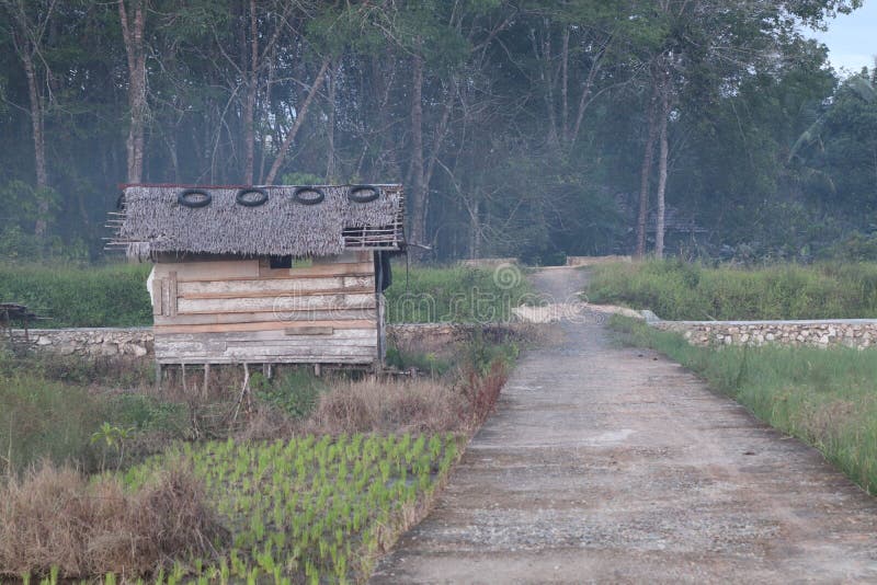 Rest Huts for Farmers in the Fields Stock Photo - Image of fields ...