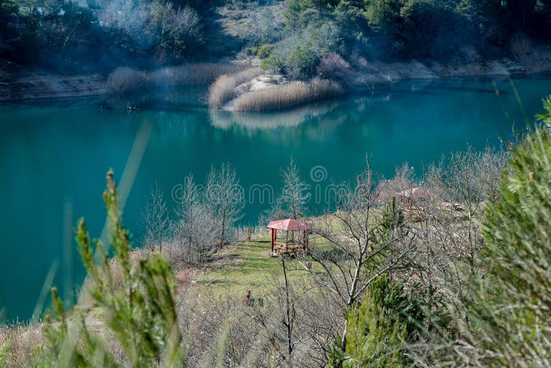 Rest beside the lake stock photo. Image of terrain, flower - 200977892