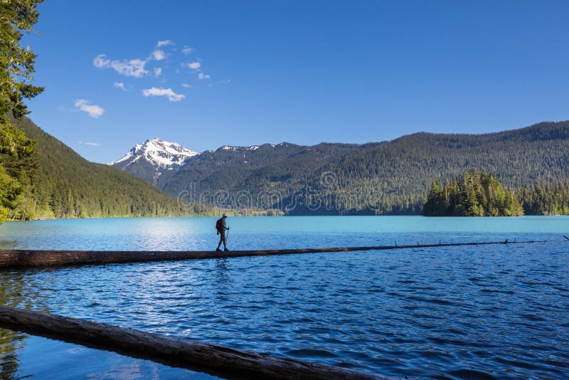 Rest on the lake stock photo. Image of dream, lifestyle - 254348110