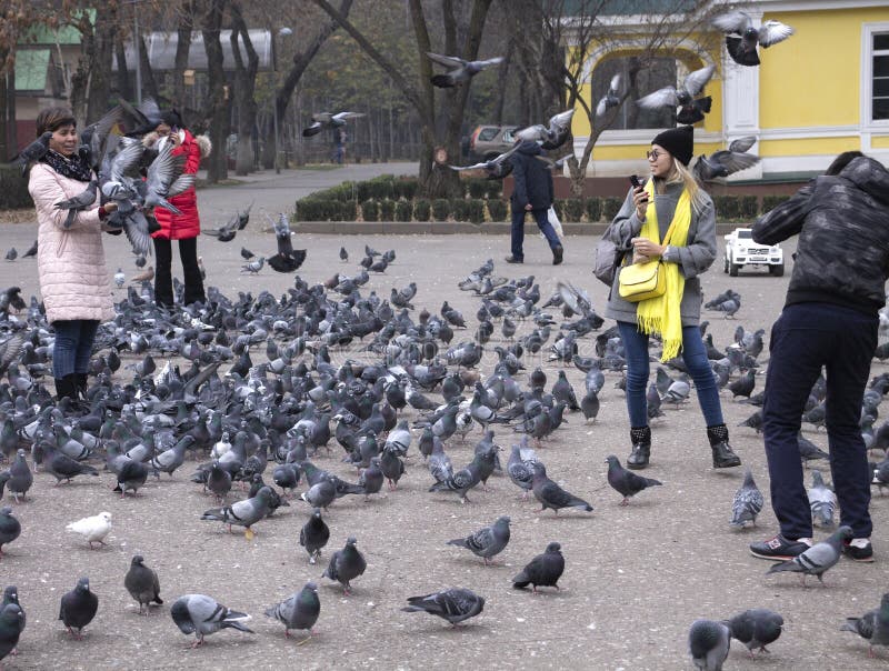 Rest in the park editorial photo. Image of park, people - 166654621