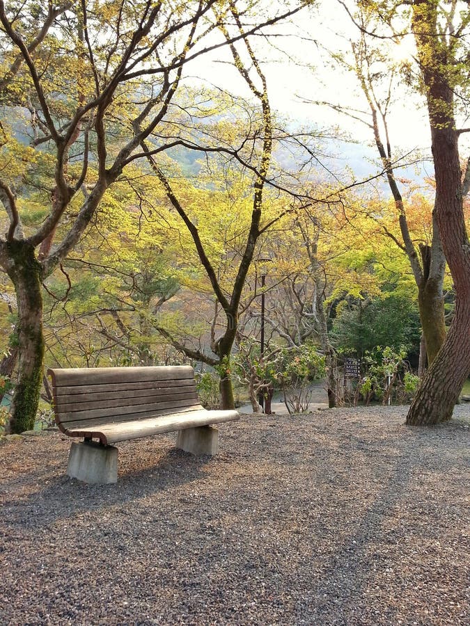 Rest in the park stock image. Image of wood, rest, pebble - 50044705