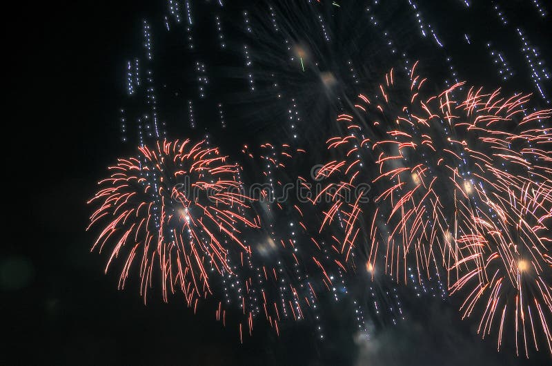 Holiday Fireworks in the Park. Stock Image - Image of fireworks, night ...