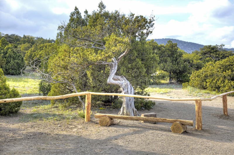Rest on a path stock photo. Image of view, bush, plant - 43705626