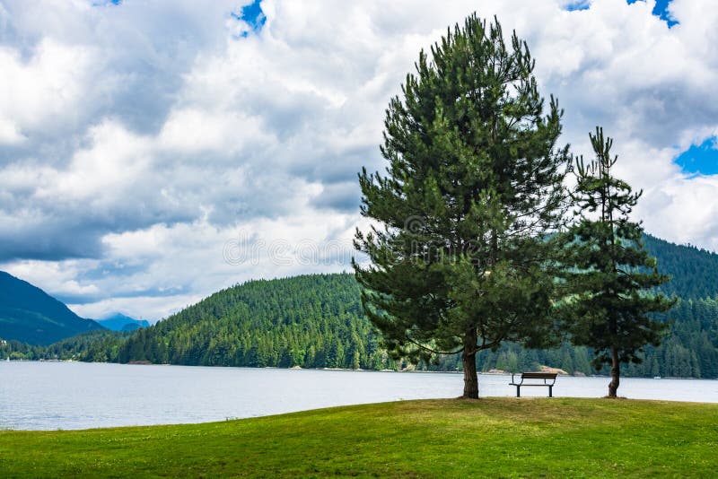 Rest Place with a Bench on a Shore of Pacific Ocean Bay Stock Image ...