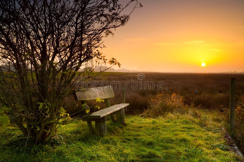 Rest Place with Bench at Sunrise Stock Image - Image of clear, calm ...