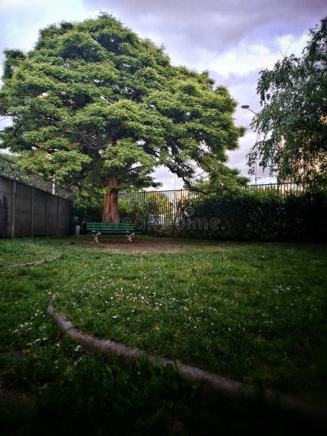 Rest place stock image. Image of home, tree, rest, reading - 50806061