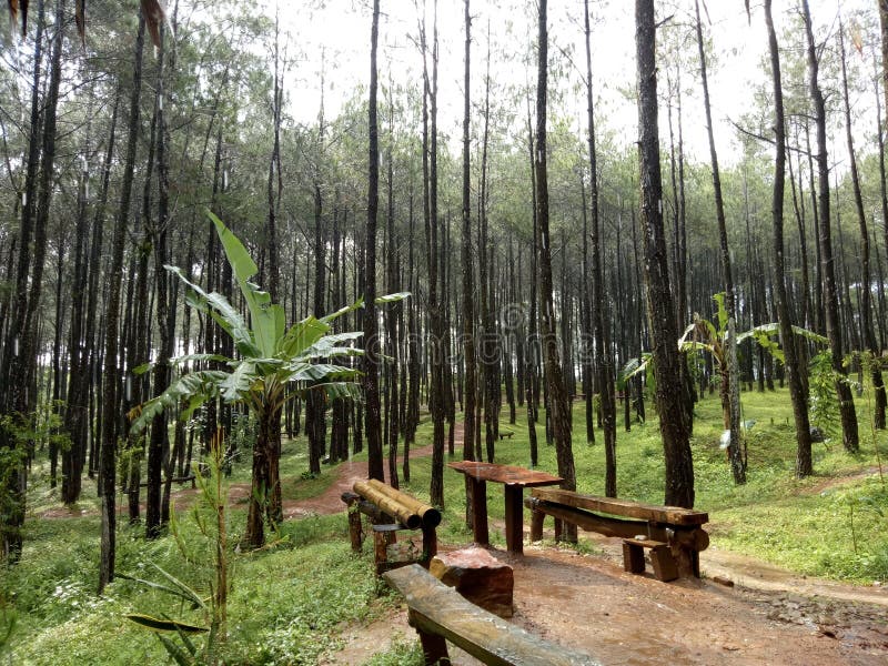 Rest place stock photo. Image of middle, rest, chair - 263986922