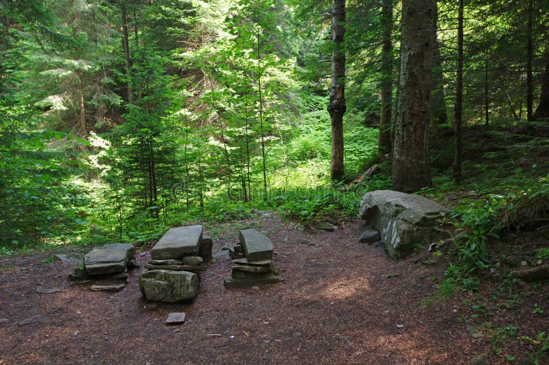 Rest place in forest stock image. Image of hiking, picnic - 69792847