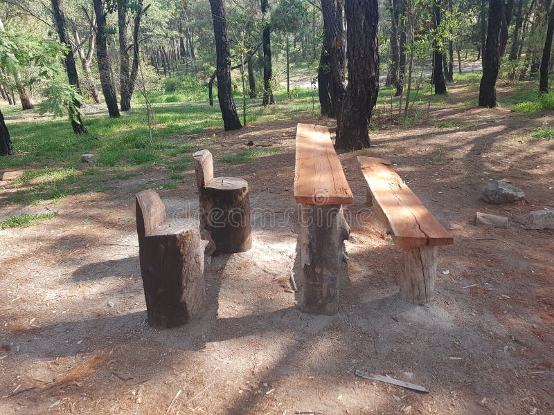 Rest Place in the Middle of the Forest, Wooden Chairs and Tables Stock ...