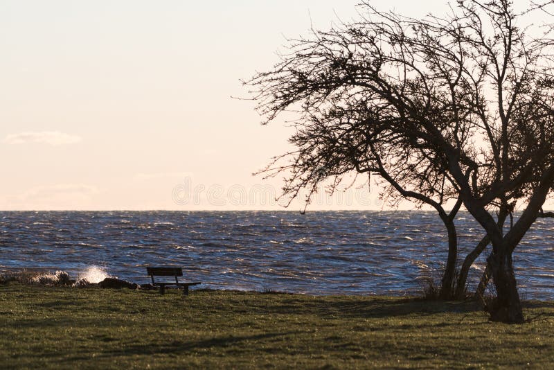 Rest place by seaside stock image. Image of green, seaside - 135711827