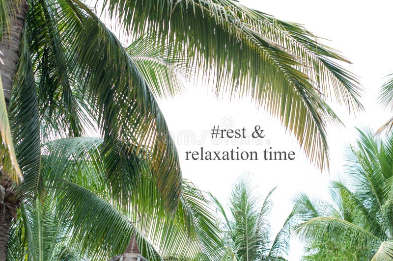 Rest and relaxation time stock image. Image of white - 220886475