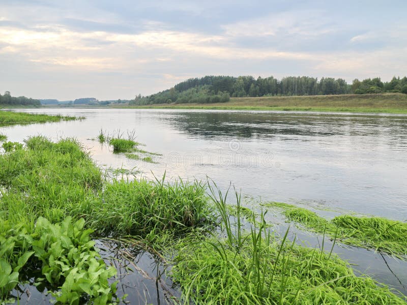 Rest on the river bank stock photo. Image of wind, nature - 101327852