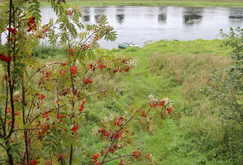 Rest on the river bank stock image. Image of field, river - 101320737