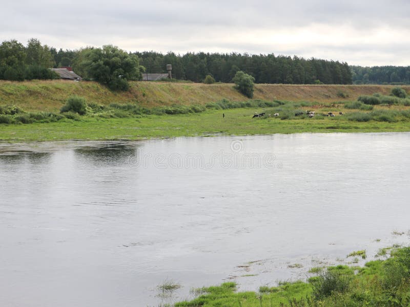 Rest on the river bank stock image. Image of calm, wind - 101325279