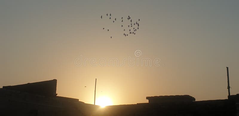 Rest time at Sunset stock image. Image of horizon, lighting - 225666329