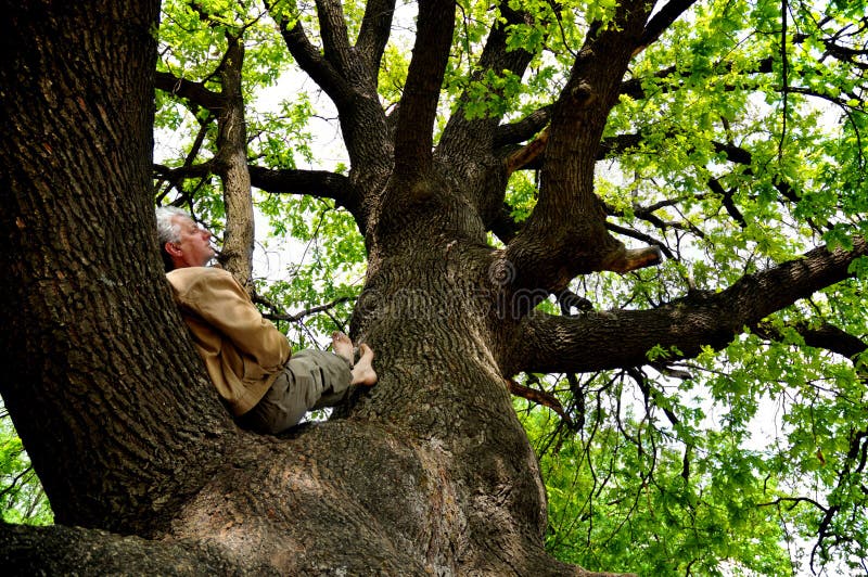 Rest on a tree stock photo. Image of adult, pensive, imagination - 16692532