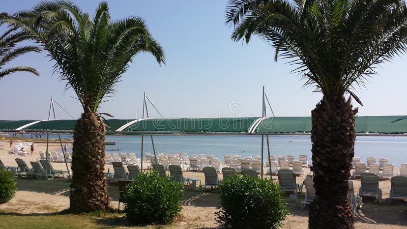 Rest under the palm trees stock photo. Image of trees - 59287862