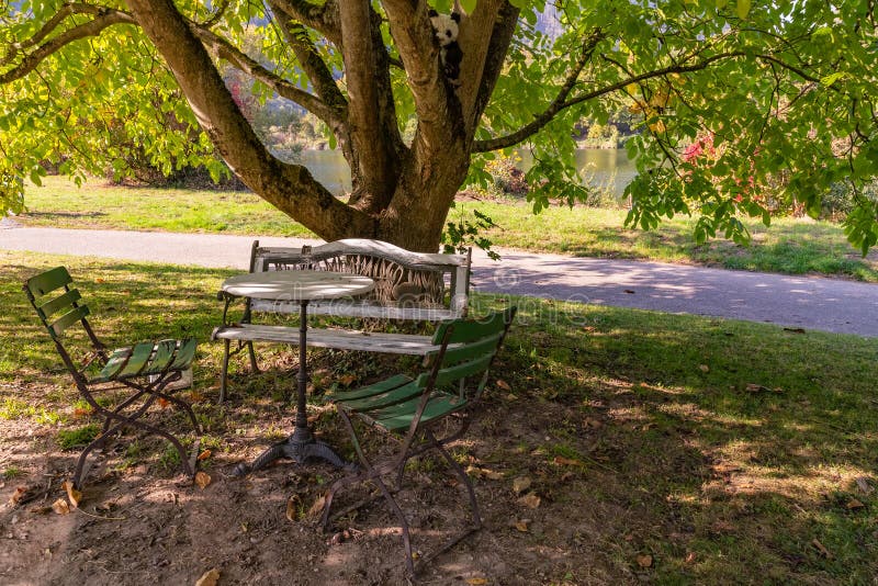 Rest Under a Tree in the Shade Stock Image - Image of flower, landscape ...