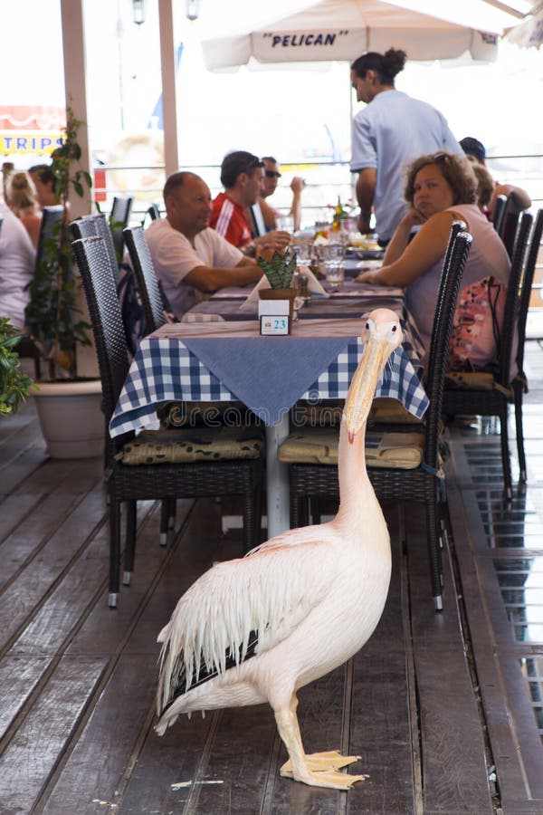 Restaurant in Cyprus editorial photography. Image of restaurant - 25867632